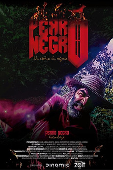‎Perro Negro (2021) directed by Robinson Castañeda • Film + cast ...