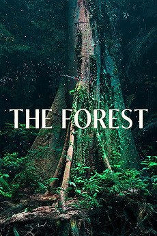 ‎The Forest (2024) directed by Jamie Lochhead • Reviews, film + cast ...