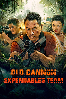 ‎Elderly Expendables Team (2024) directed by Zhao Ruiyong, 戴维 • Film ...