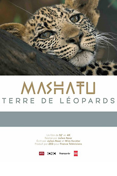 ‎Mashatu, terre de léopards (2024) directed by Julien Naar • Reviews ...