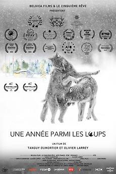 ‎Une année parmi les loups (2024) directed by Olivier Larrey, Tanguy Dumortier • Reviews, film ...