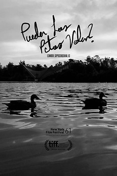 ‎Can Ducks Fly? (2023) directed by Alonso Betancourt Cherbowsky • Film ...