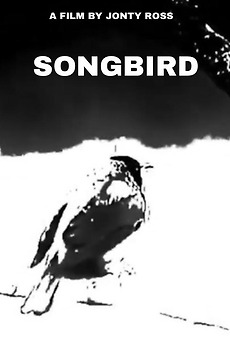 ‎Songbird (2025) directed by Jonty Ross • Reviews, film + cast • Letterboxd
