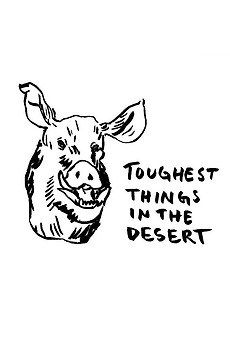 ‎Toughest Things in the Desert (2022) directed by Josephine Fite • Film ...