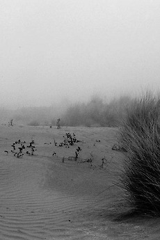 ‎Sea Concrete Human — Malfunctions #1 (2001) directed by Michael Palm ...