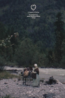 â žgold Rush 2025 Directed By Justina Jã Rgensen â Reviews Film Cast