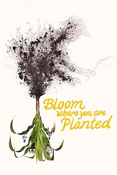 ‎Bloom Where You Are Planted (2025) directed by Noni Abao • Film + cast ...