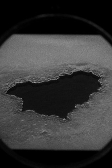 ‎Polar (1975) directed by Peter Bundy • Film + cast • Letterboxd