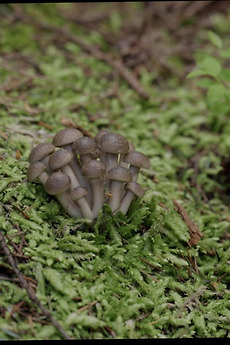 ‎What's The Purpose directed by Jack McCullagh • Film + cast • Letterboxd