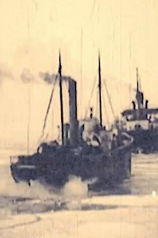 ‎Icebreaker Krišjānis Valdemārs (2012) directed by Pēteris Krilovs ...