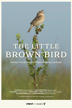 ‎The Little Brown Bird (2025) directed by KT Bryden • Reviews, film ...