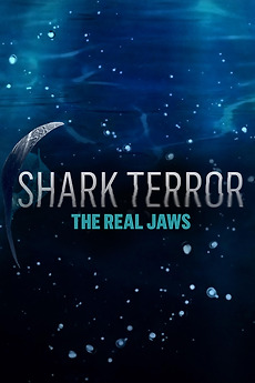 ‎Shark Terror: The Real Jaws (2019) directed by Toni Staniewicz • Film ...
