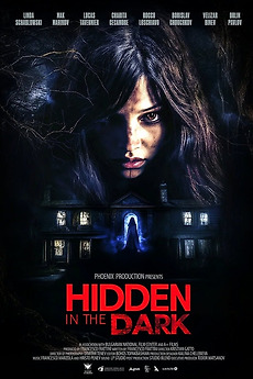 ‎Hidden in the Dark (2025) directed by Kristian Gatto • Reviews, film ...