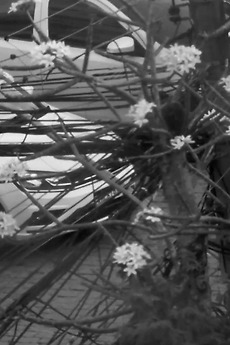 ‎Só mais uma antes do Verme Eterno devorar Botafogo - Parte 2 (2023 ...