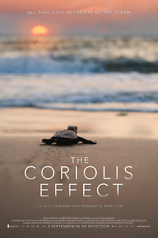 ‎The Coriolis Effect (2025) directed by Petr Lom, Corinne van Egeraat ...
