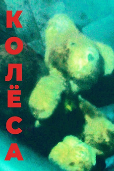 ‎Wheels (2023) directed by Dmitry Kondratenko • Film + cast • Letterboxd