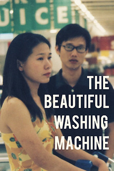 ‎The Beautiful Washing Machine (2004) directed by James Lee • Reviews ...