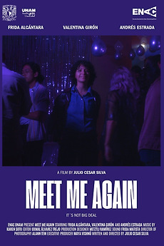 ‎Meet Me Again (2025) directed by Julio Cesar Silva • Reviews, film ...