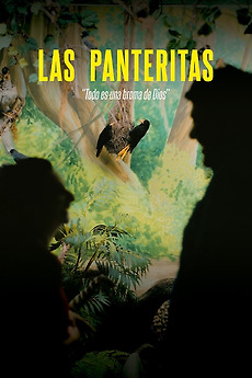 ‎The Little Panthers (2025) directed by Alejandro Gallo Bermúdez ...