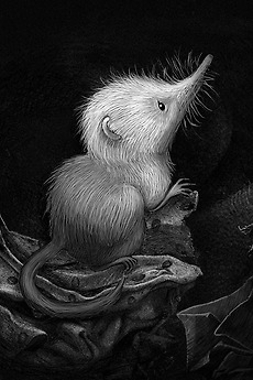 ‎Little Shrew (Snowflake) (2025) directed by Kate Bush • Film + cast ...