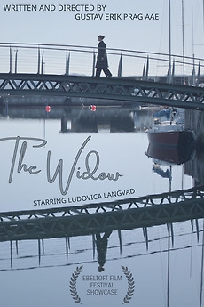 ‎The Widow (2025) directed by Gustav Erik Prag Aae • Film + cast ...