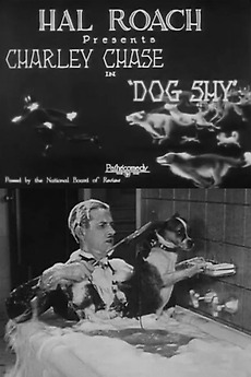 ‎Dog Shy (1926) directed by Leo McCarey • Reviews, film + cast • Letterboxd