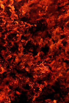 The Temple of Conflagrated Shadows’ review by remdwgakahooey • Letterboxd