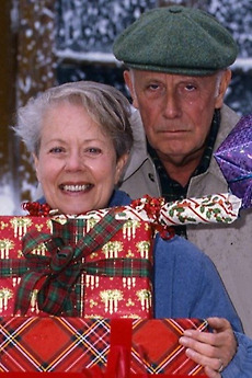 ‎The Wisdom Of The Witch (1995) directed by Susan Belbin • Film + cast ...