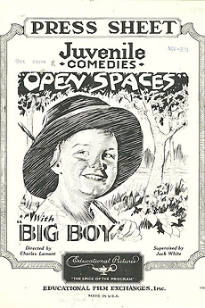 ‎Open Spaces (1926) directed by Charles Lamont • Reviews, film + cast ...