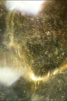 ‎The Dithering Veil (2025) directed by Rushnan Jaleel • Reviews, film ...