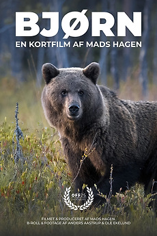 ‎Bjørn directed by Mads Hagen • Film + cast • Letterboxd
