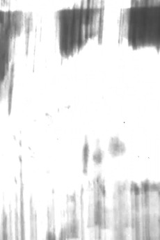 ‎ACE Number 5 (1974) directed by Bruce Wood • Reviews, film + cast ...