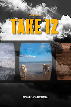 ‎Take 12 (2026) directed by Joel Johnson • Film + cast • Letterboxd