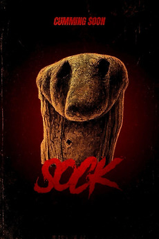 ‎Sock (2025) directed by Josh Farrell • Reviews, film + cast • Letterboxd