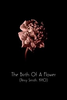 ‎The Birth of a Flower (1910) directed by F. Percy Smith • Reviews ...