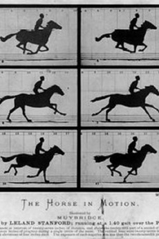 ‎Sallie Gardner at a Gallop (1878) directed by Eadweard Muybridge ...