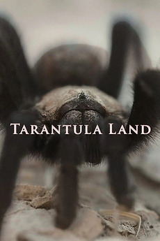‎Tarantula Land (2025) directed by Andrew Motte • Reviews, film + cast ...