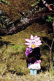 ‎Speaking Flowers (2025) directed by Veit Conrad, Charlotte Maria Kätzl ...