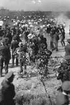 ‎Republic Steel Strike Riots Newsreel Footage (1937) • Reviews, film ...