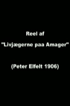 ‎The Life Guards on Amager (1906) directed by Peter Elfelt • Reviews ...