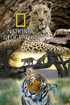 ‎National Geographic Wild • Film + cast • Letterboxd