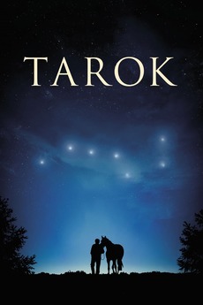 ‎Tarok (2013) directed by Anne-Grethe Bjarup Riis • Reviews, film ...