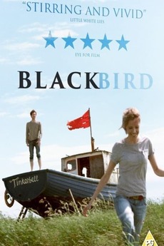 ‎Blackbird (2013) directed by Jamie Chambers • Reviews, film + cast ...