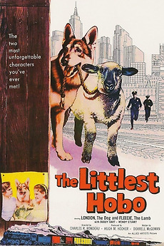 ‎The Littlest Hobo (1958) directed by Charles R. Rondeau • Reviews ...