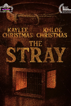 ‎The Stray (2025) directed by Tim Teets • Film + cast • Letterboxd
