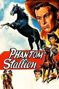Phantom Stallion’ review by PUNQ • Letterboxd