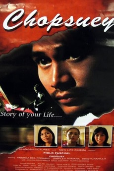 ‎Chopsuey (2007) directed by Cathy Camarillo • Reviews, film + cast ...