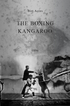 ‎The Boxing Kangaroo (1896) directed by Birt Acres • Reviews, film ...