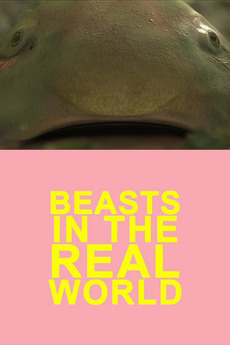 ‎Beasts in the Real World (2013) directed by Sol Friedman • Reviews ...
