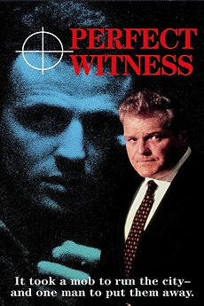 ‎Perfect Witness (1989) directed by Robert Mandel • Reviews, film ...